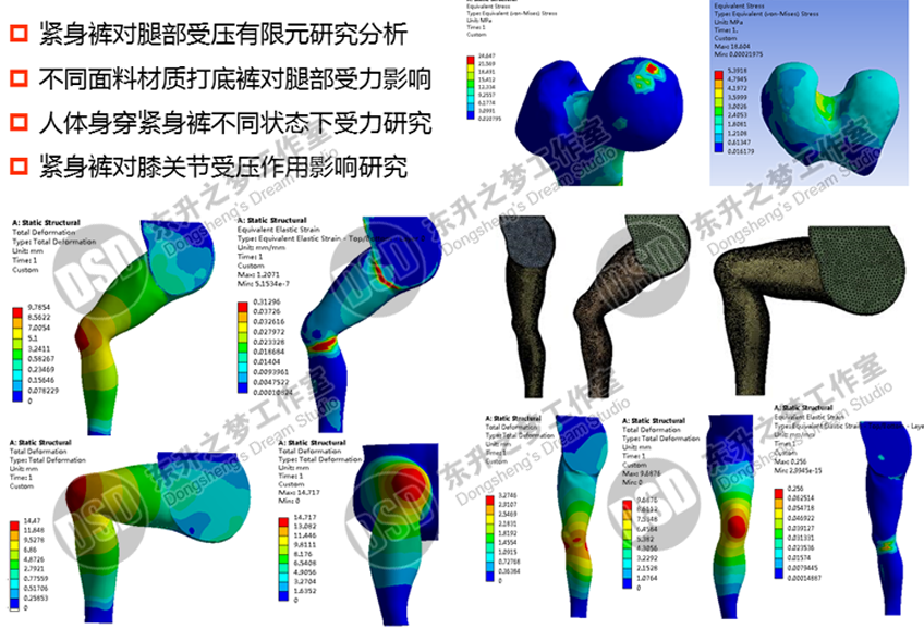 代做CT/MRI三维重建/骨/耳鼻喉眼牙齿/心血管有限元仿真-【东升之梦工作室】-猪八戒网